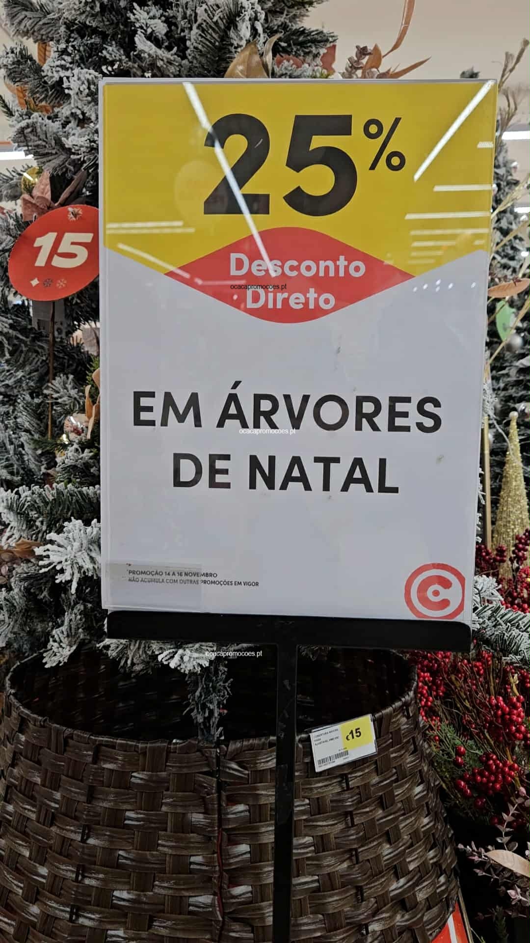 Avistamentos Continente - 25% desconto em Todas as Árvores de Natal - O ...